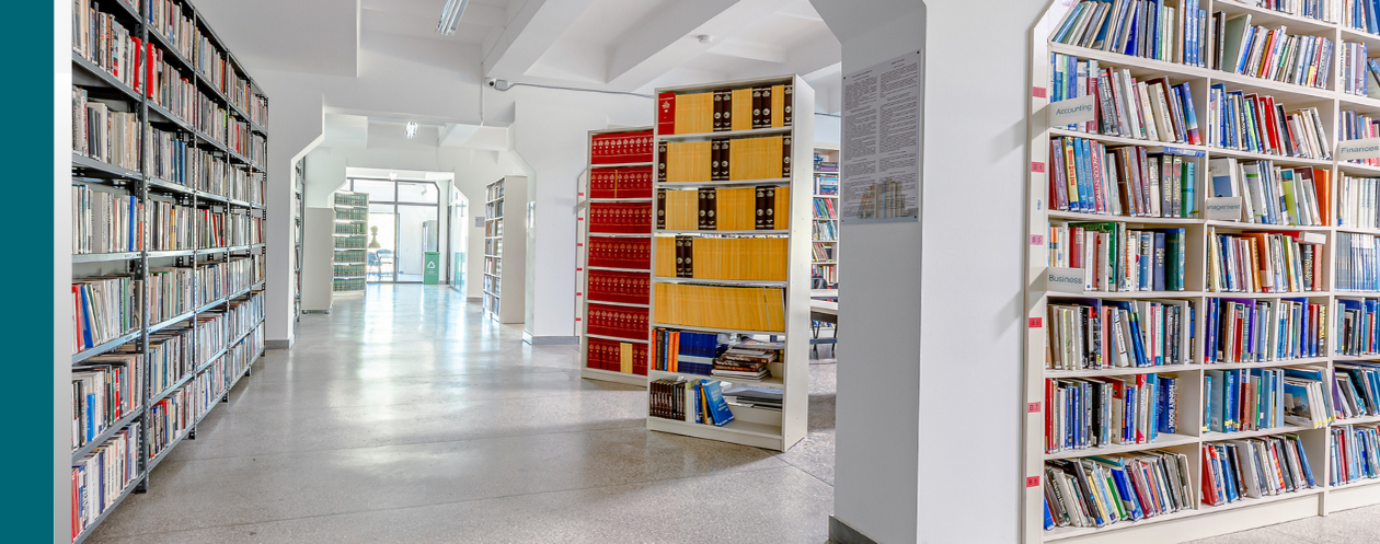 Library Vision